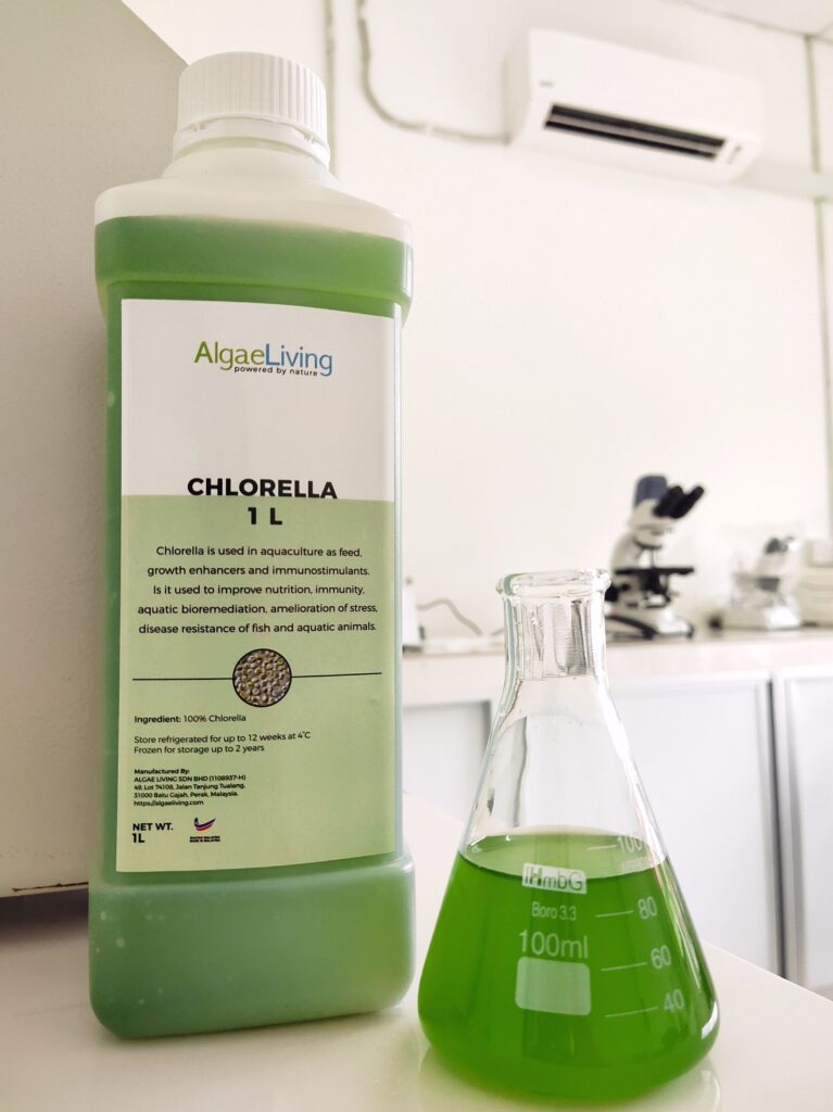 Algae Living Fresh Chlorella Culture, 1L – Algae Living
